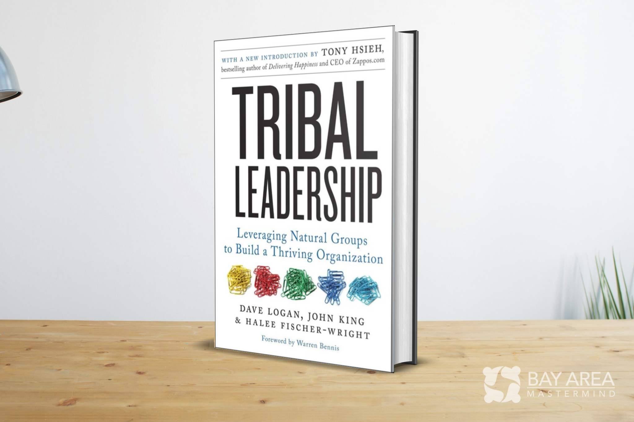 Tribal Leadership by Dave Logan - Bay Area Mastermind®